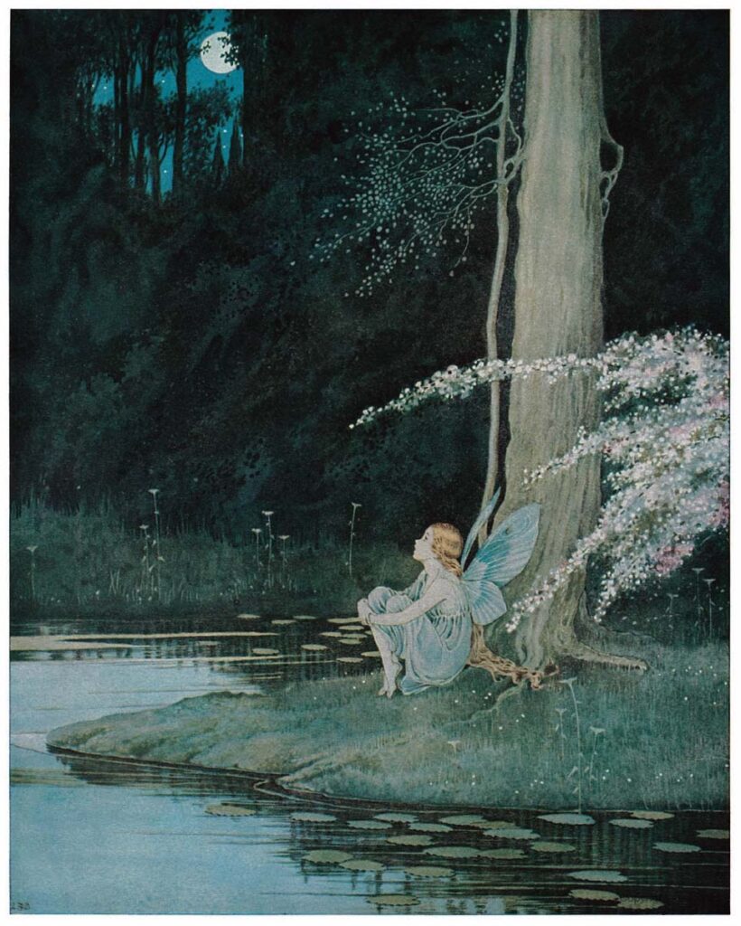 The Art of the Australian Fairy | Beautiful Books