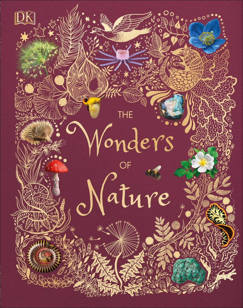 Most Beautiful Books of 2019 - A Holiday Gift Guide